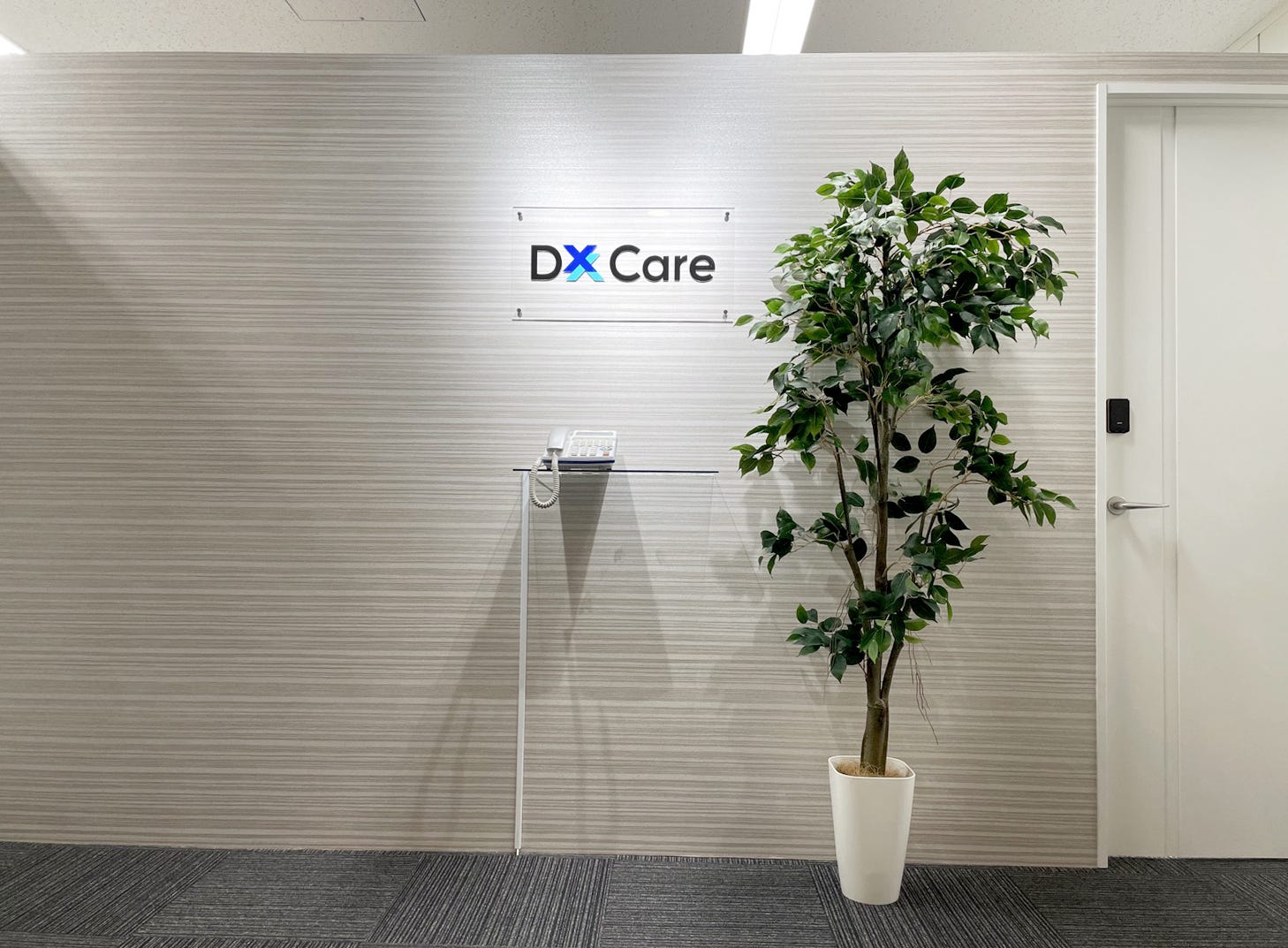 DXCARE株式会社の採用・求人情報-engage