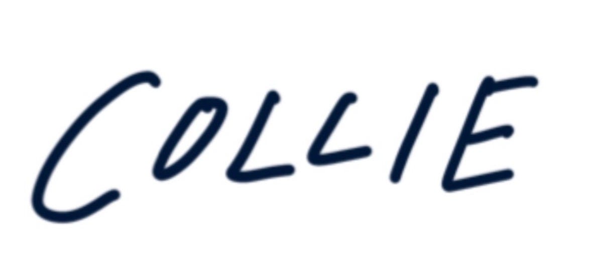 株式会社COLLIEの採用・求人情報-engage