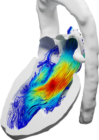 株式会社Cardio Flow Designの採用・求人情報-engage