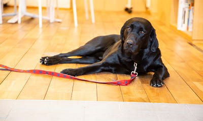 株式会社栄港建設の採用・求人情報-engage