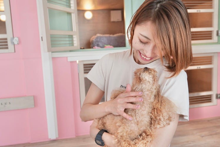 DOG ONE PLUSの採用・求人情報-engage
