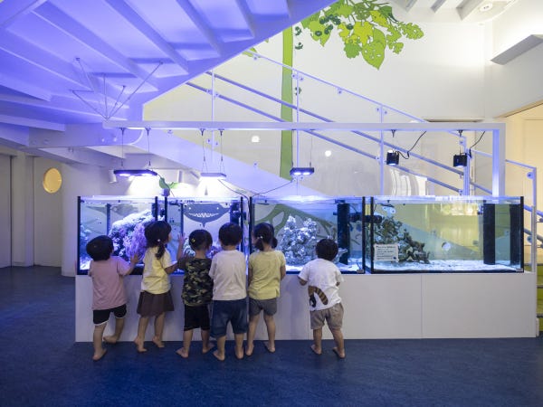 賞与・昇給あり★小規模保育園の常勤保育士募集♪｜社会福祉法人 りんでん保育園｜福岡県糸島市の求人情報 - エンゲージ